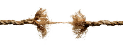 stretched too thin – Like Trees Planted