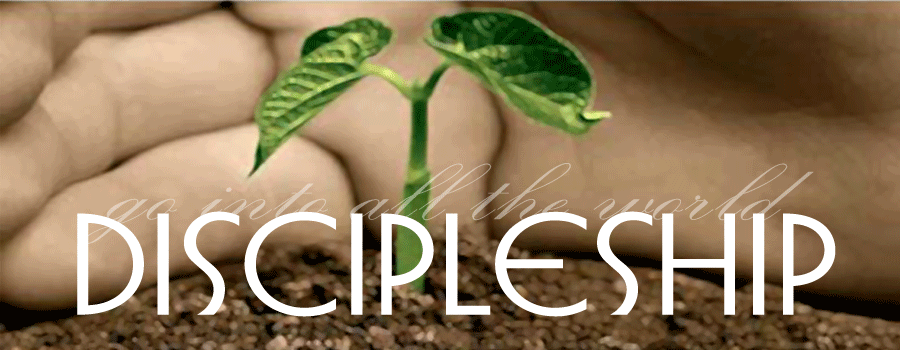 Quotes on Discipleship & Faithfully Obeying Jesus – Like Trees Planted