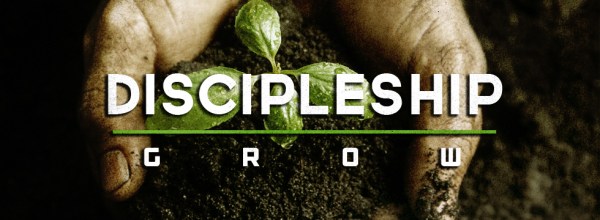 Quotes on Discipleship & Faithfully Obeying Jesus – Like Trees Planted