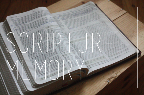 How To Meditate Upon & Memorize Scripture – Like Trees Planted